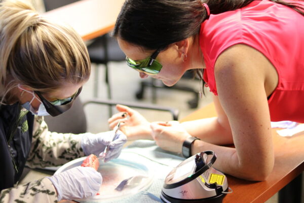 Significance Of Dental Hygienist In The Field Of Dentistry significance-of-dental-hygienist-in-the-field-of-dentistry