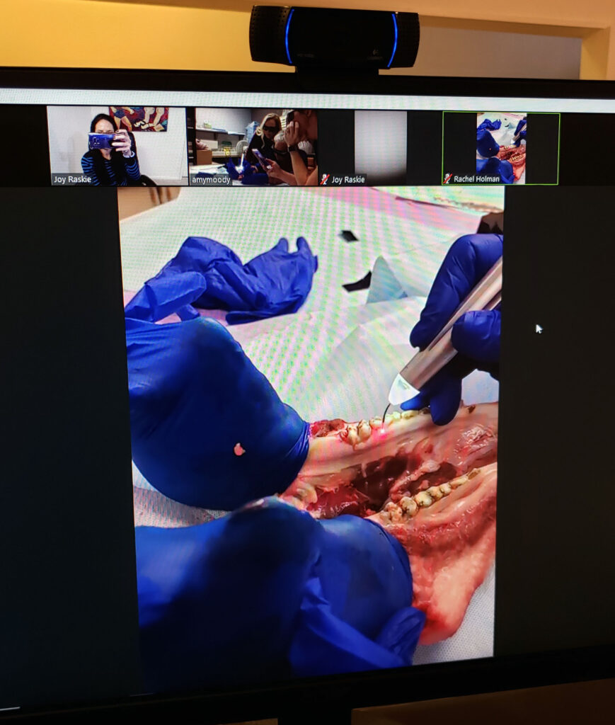 Diode Laser Training